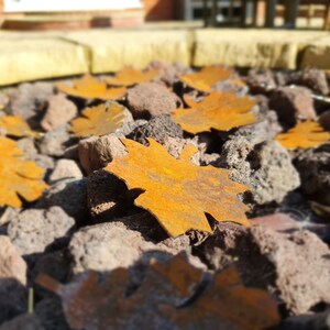 Decorative metal Autumn leaves Set of 12 or 6 Maple and Oak | Etsy