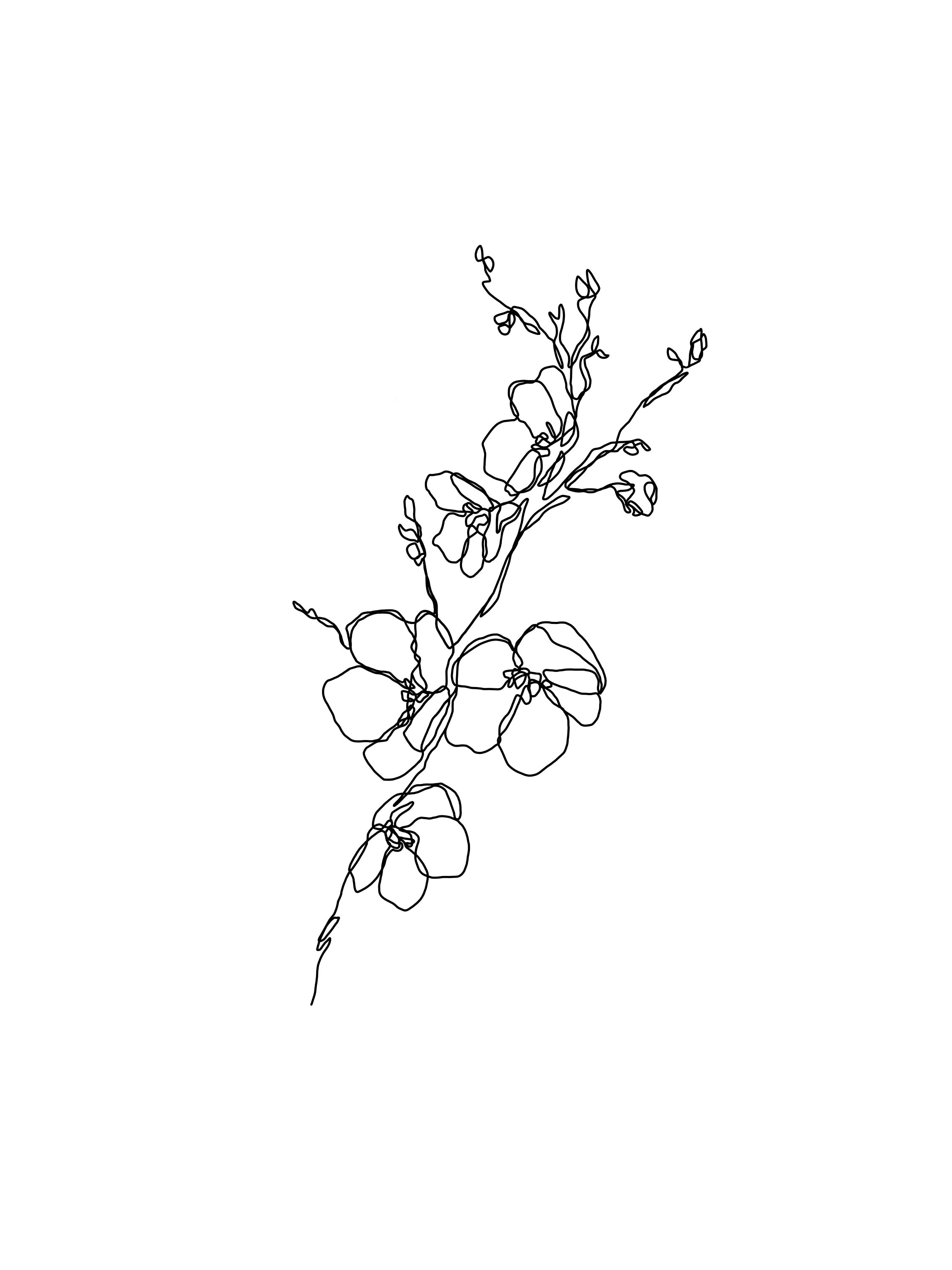Cherry Blossom Single Line Drawing Digital Download Minimalist Art ...
