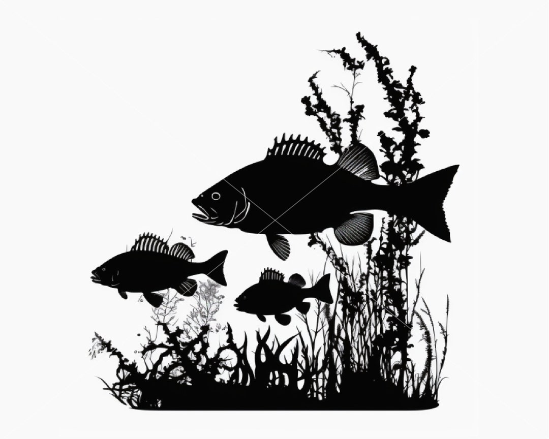 Bass Fish Swimming Silhouette Digital Download - Png, Dxf, Svg, Pdf - Etsy