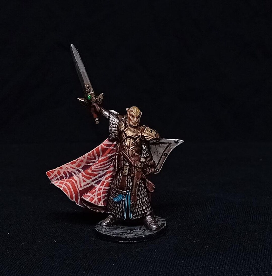 Painted Reaper Turanil Male Elf Paladin for Your Tabletop. - Etsy