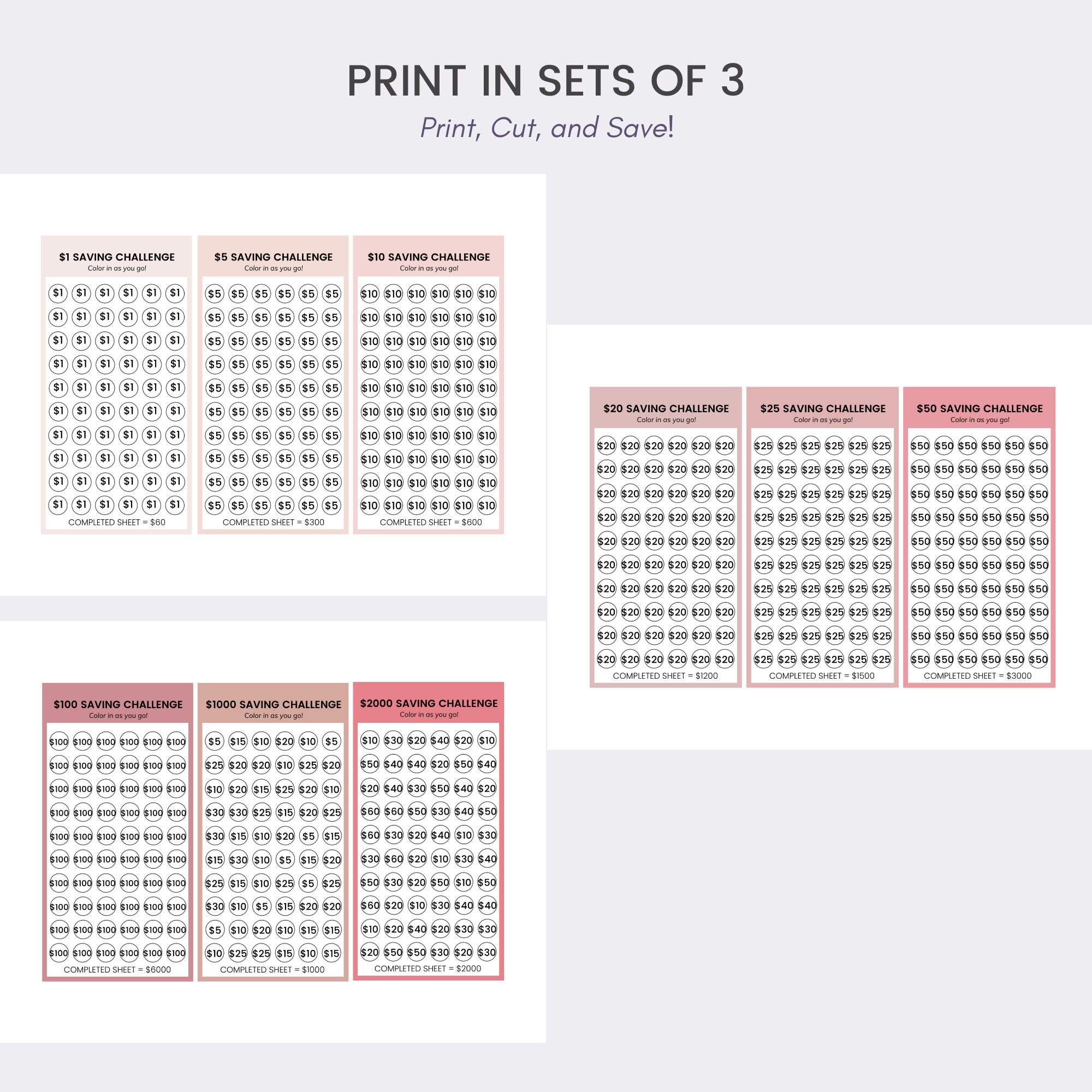 Minimalist Pink Cash Envelope Savings Challenges Bundle Blush Cash ...