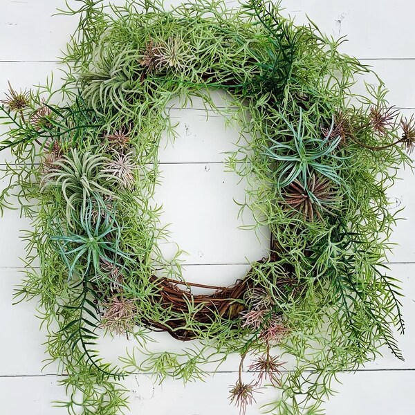 Spanish Moss - Etsy
