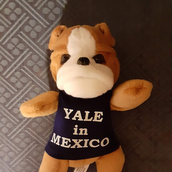 Yale Stuffed Animal - Etsy