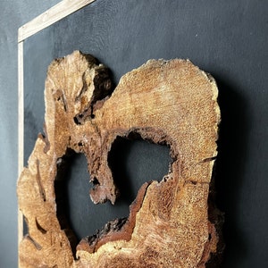 Tree Stump Wall Decor,aged Tree Stump Wall Hangings Decor, Large Tree ...