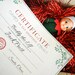 Official Elf Adoption Certificate Printable Need Ideas to Welcome Your ...