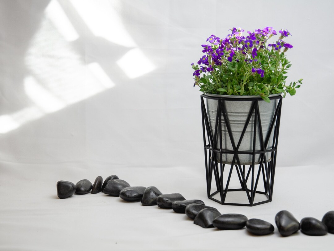 Upright Geometric Wire Vase Cage – Black Cachepot for 10cm Plant Pots ...