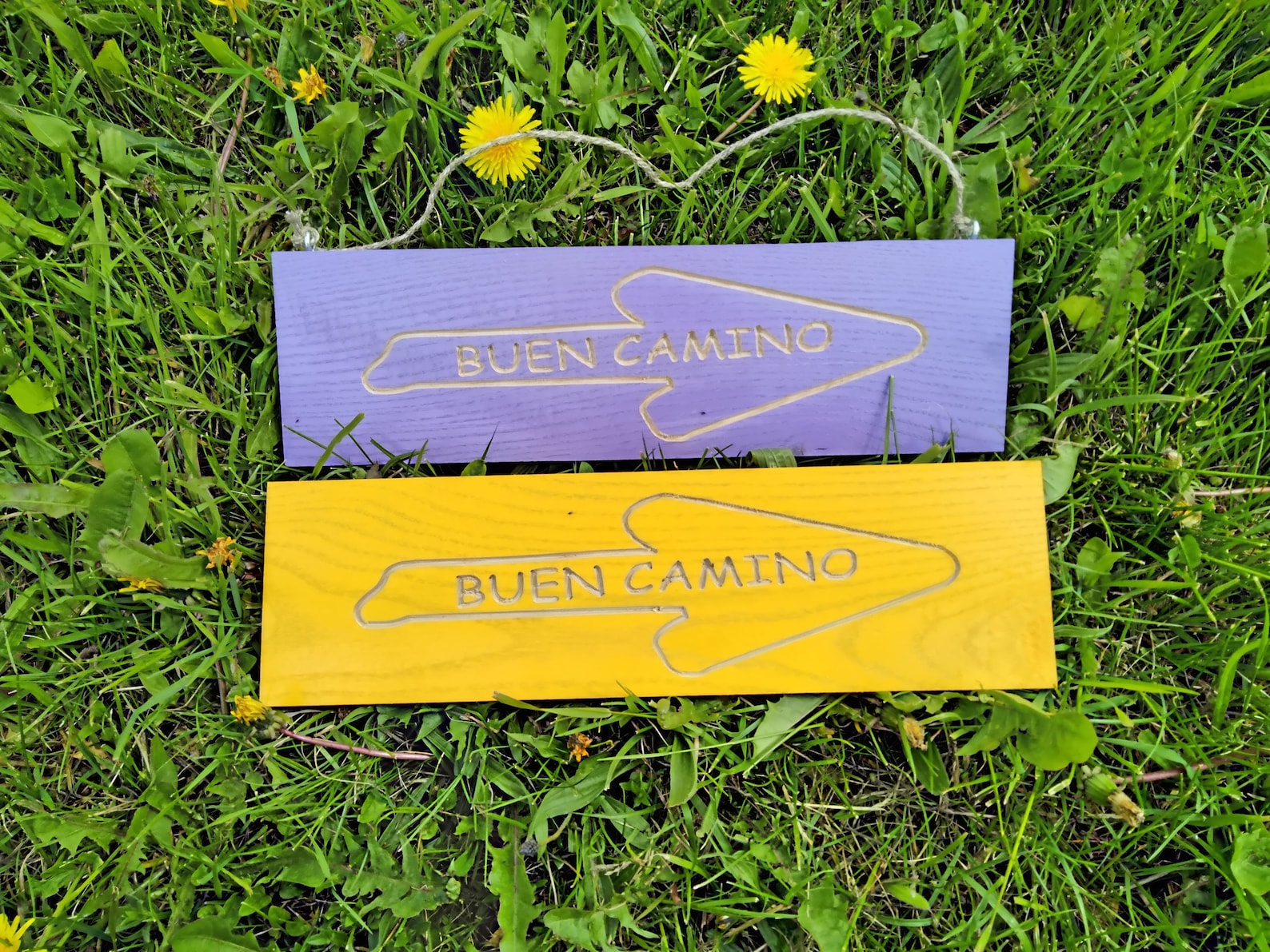 Buen Camino Sign. the Way - Etsy