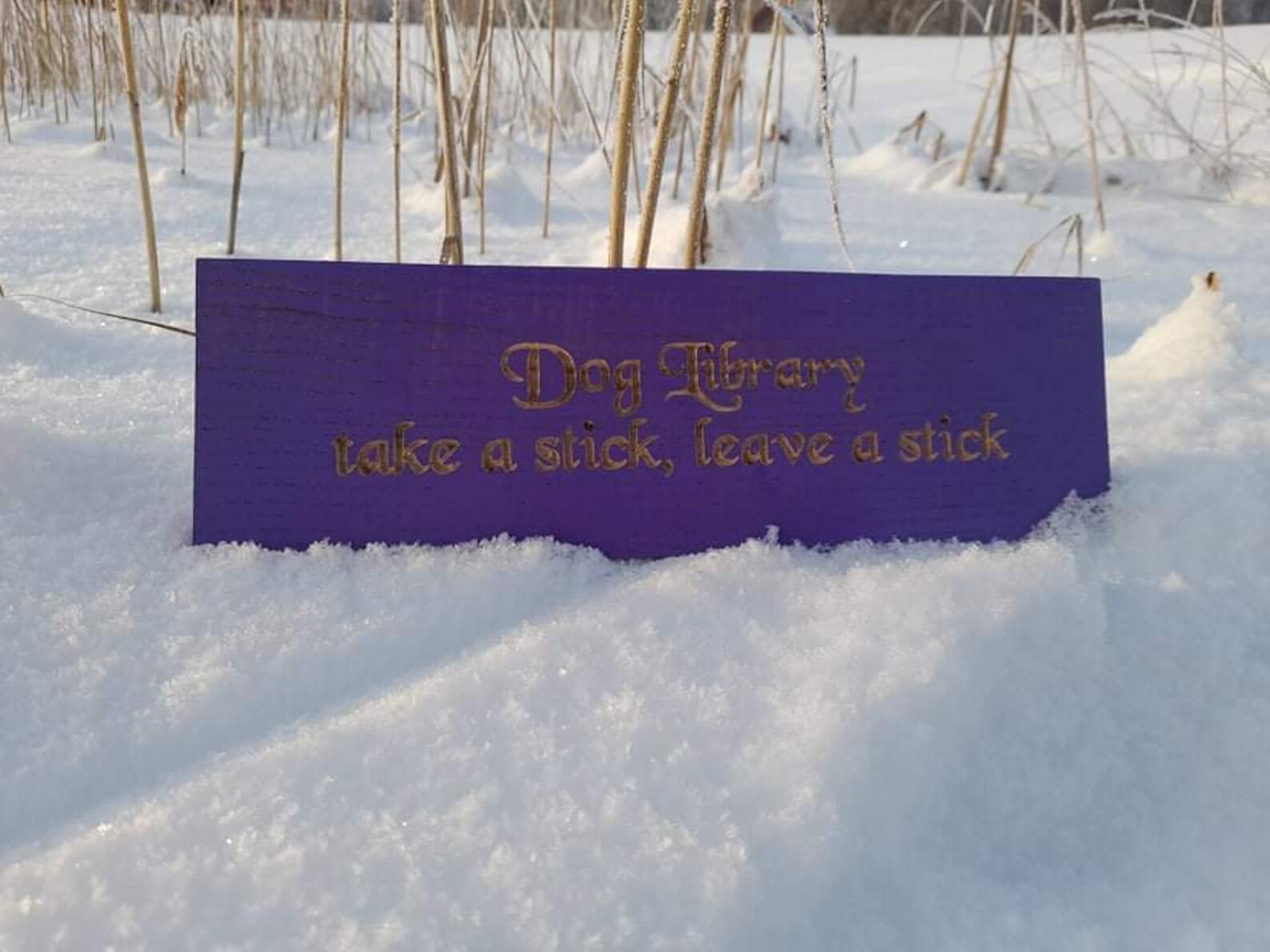 Dog Library Wood Sign | Etsy