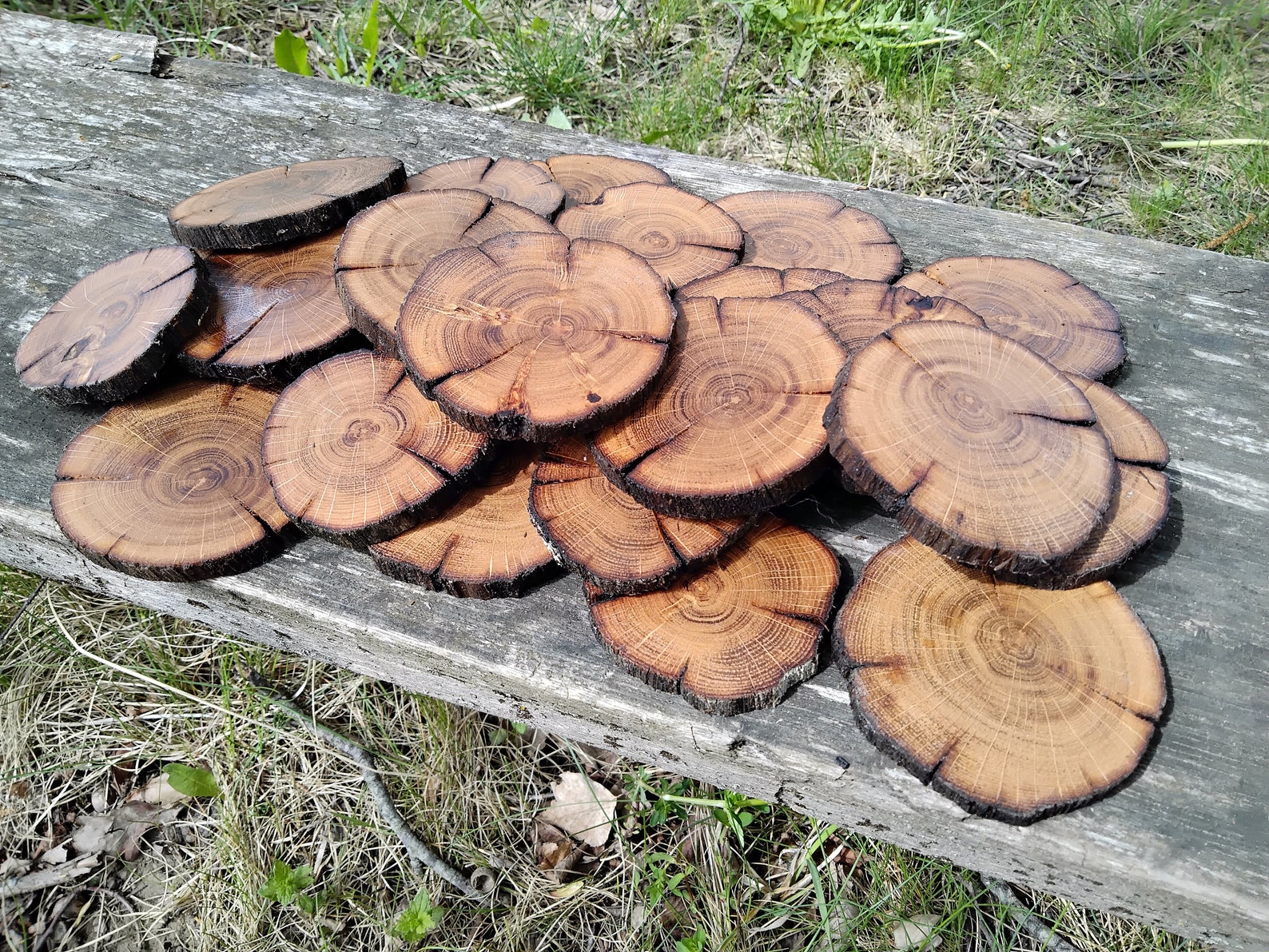 Set of 100 Oak Wood Slices - Etsy