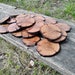 Set of 100 Oak Wood Slices - Etsy