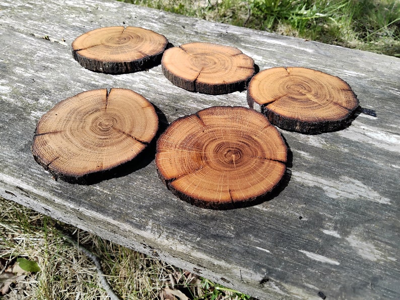 Set of 100 Oak Wood Slices - Etsy