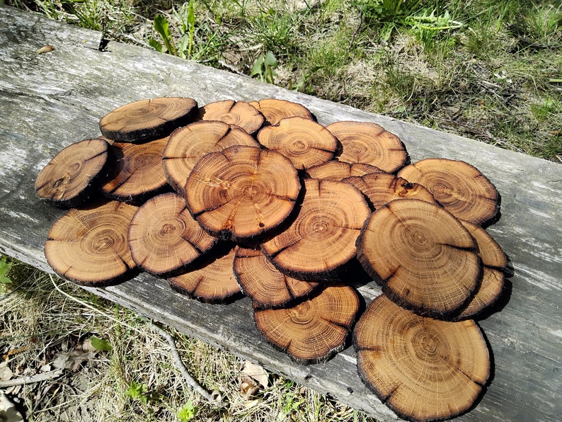 Set of 100 Oak Wood Slices - Etsy