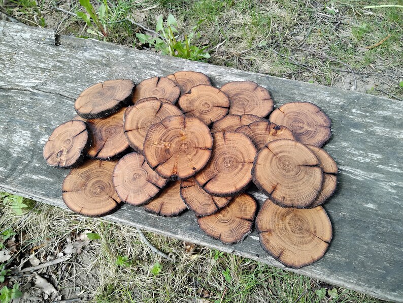 Set of 100 Oak Wood Slices - Etsy