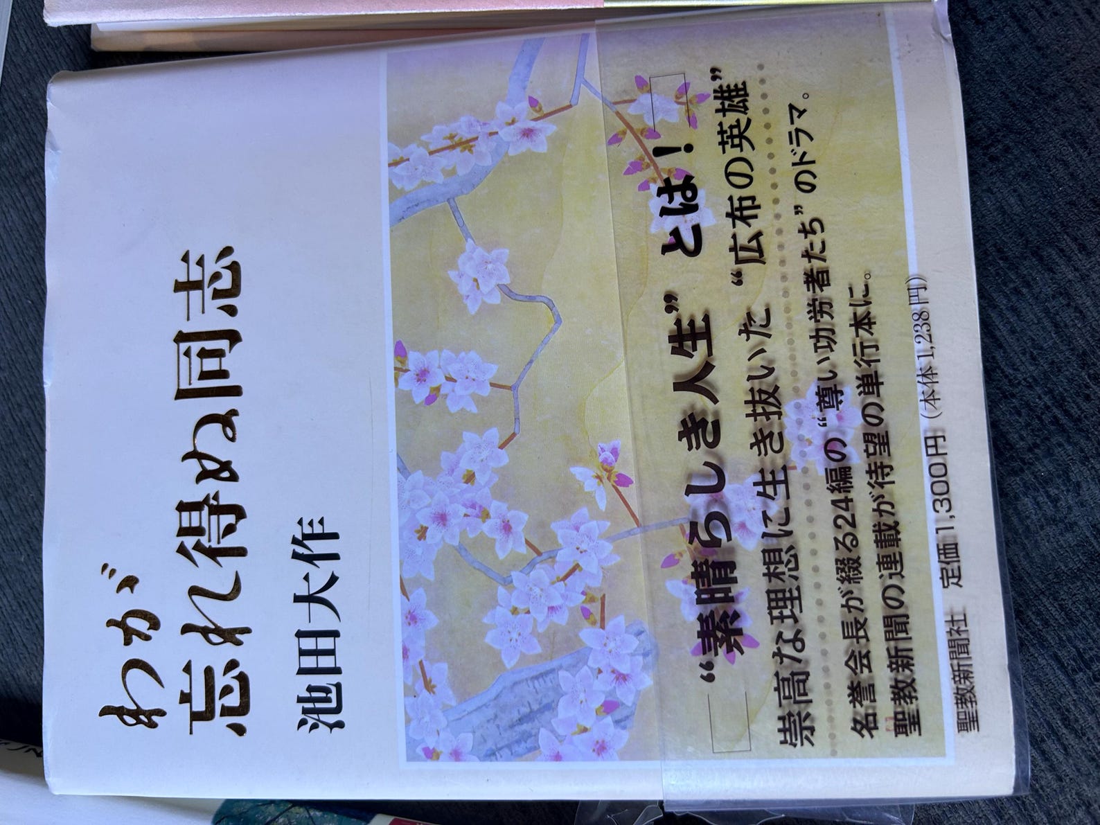 Daisaku Ikeda Book Lot 10 Books (japanese Books) Very-good - Etsy