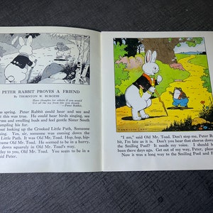 1939 “peter Rabbit Proves a Friend” by Thornton Burgess (excellent) - Etsy