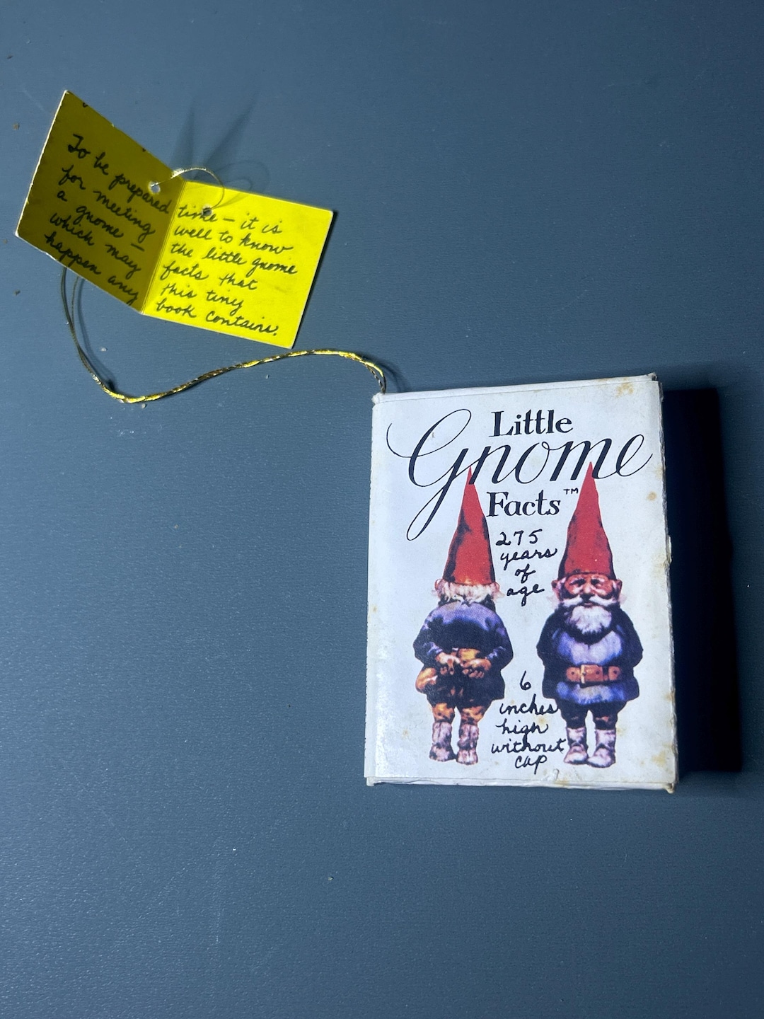 Little Gnome Facts “mini Book Christmas Ornament” 1979 (12 Pages) - Etsy