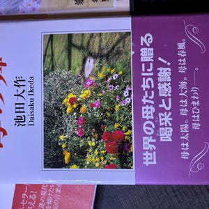 Daisaku Ikeda Book Lot 10 Books (japanese Books) Very-good - Etsy