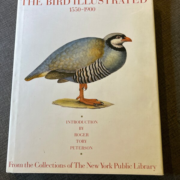 Illustrated Library - Etsy