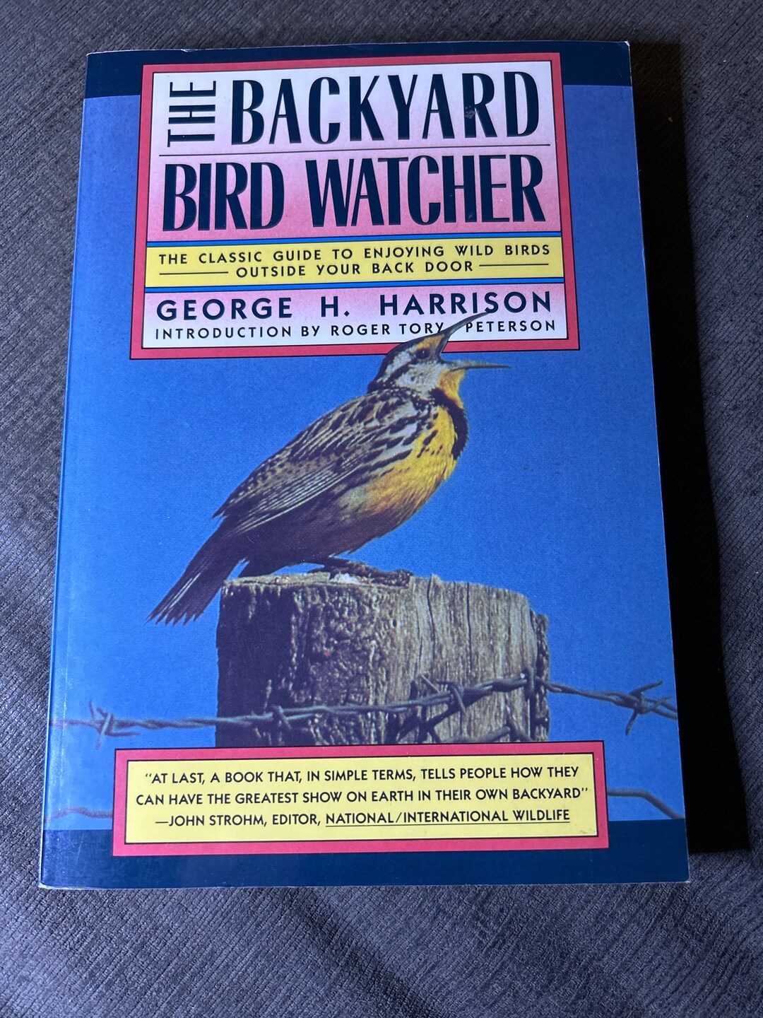 The Backyard Bird Watcher by George H. Harrison - Etsy