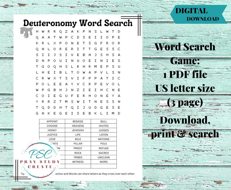 JW Game Word Search -deuteronomy, Jehovah's Witness Game for Kids, JW ...