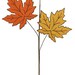 Fall MAPLE LEAF SPRAY 30.75"l Felt, Thanksgiving Spray, Fall Harvest ...