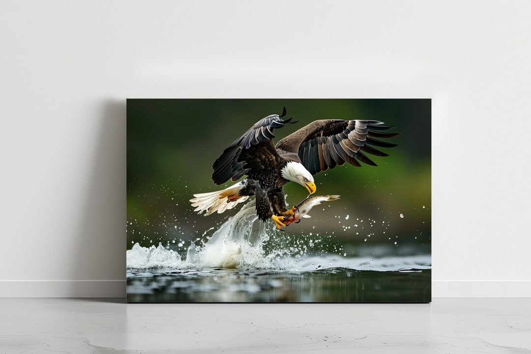 Eagle Grabbing Fish, Canvas Wall Art, Soaring Eagle, Animal, Wildlife ...