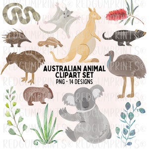 Australian Animal Clipart, Animal Clipart, PNG, Clip Art, Water Colour ...