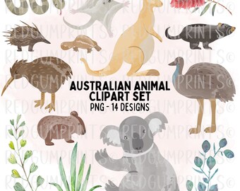 Australian Animal Clipart, Animal Clipart, PNG, Clip Art, Water Colour ...