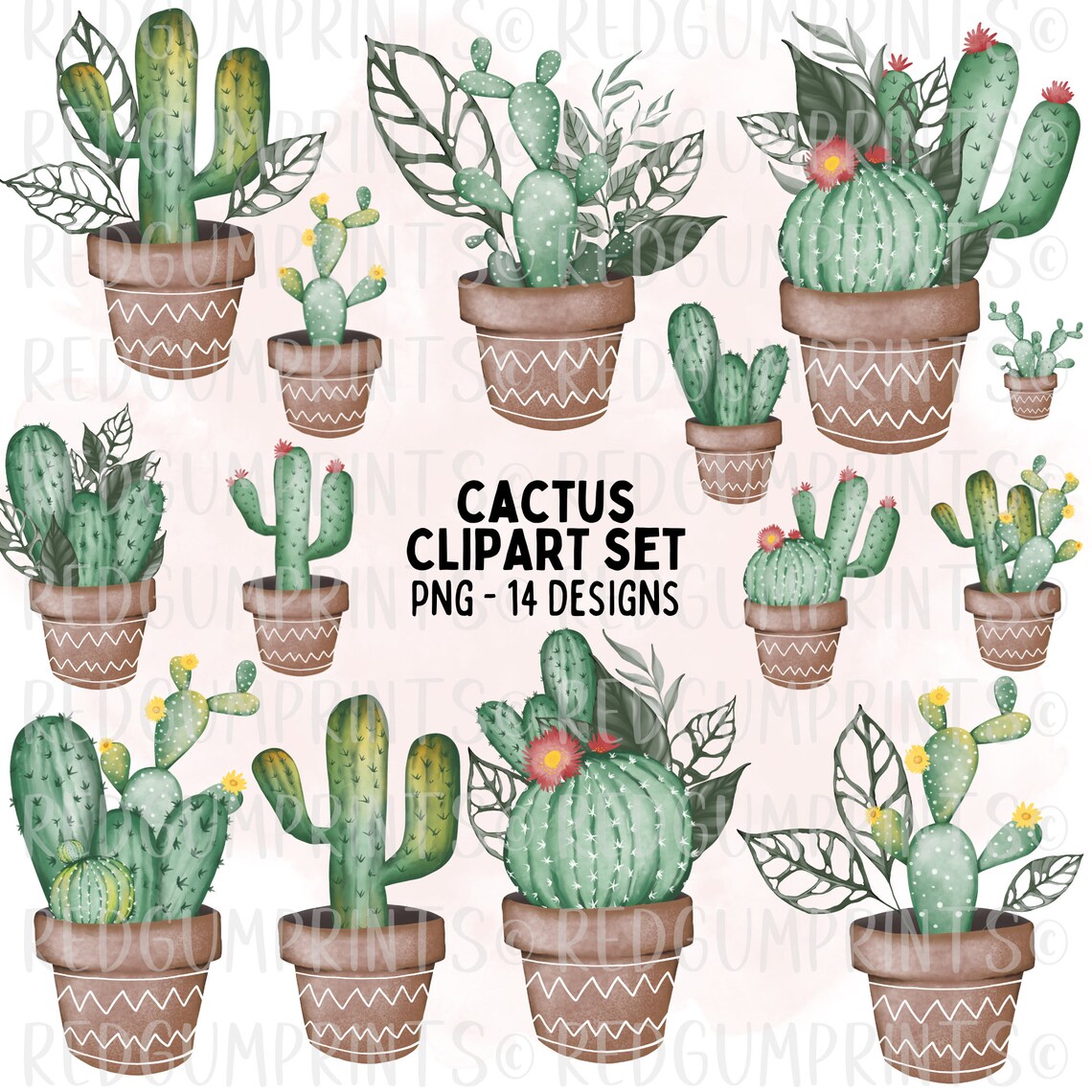 Cactus Clipart Cactus PNG Clip Art Water Color Cactus - Etsy