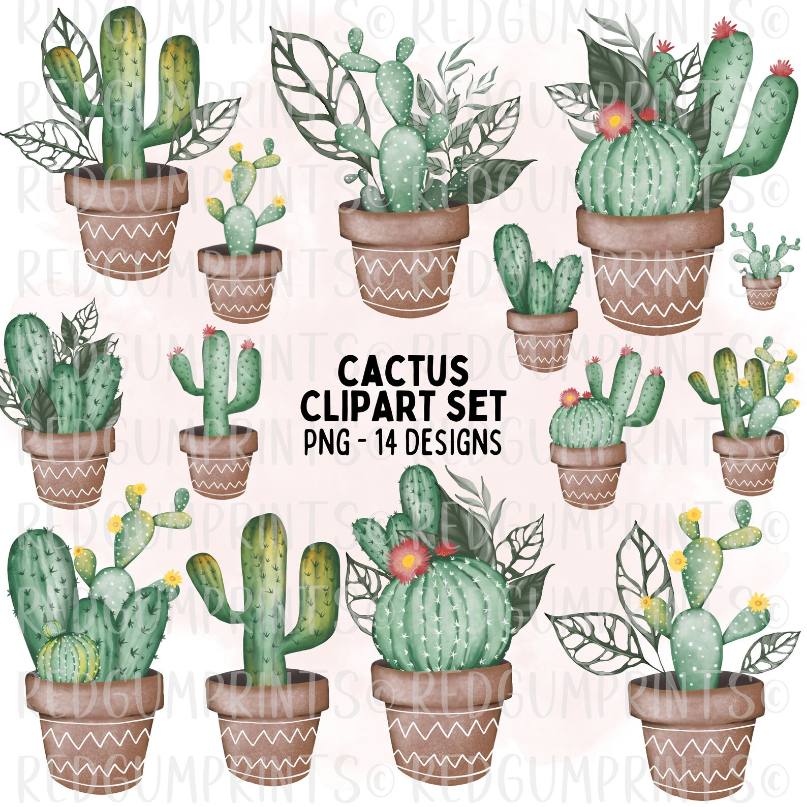 Cactus Clipart Cactus PNG Clip Art Water Color Cactus - Etsy