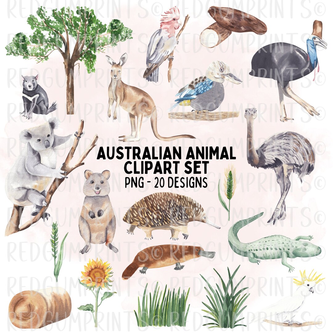 Australian Animal Clipart, Animal Clipart, PNG, Clip Art, Water Colour ...