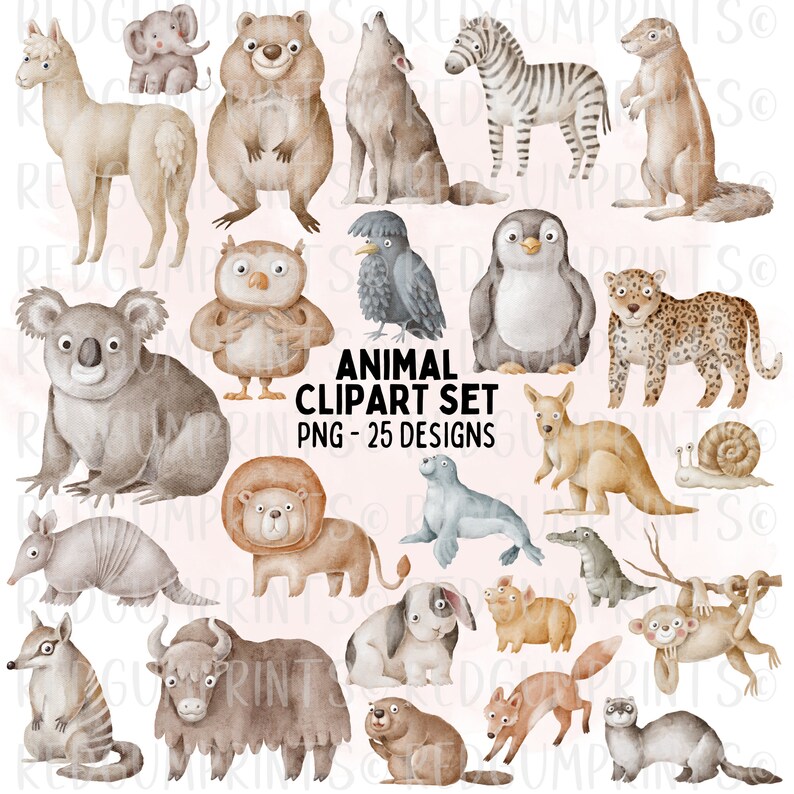 Animal Clipart, Animal PNG, Clip Art, Wild Animals, Safari Animals ...