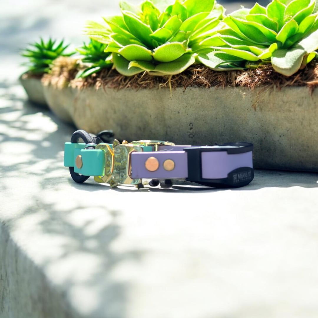 Bungee Cobra Style Buckle Biothane E Collar Strap (3/4 Inch) - Fits ...