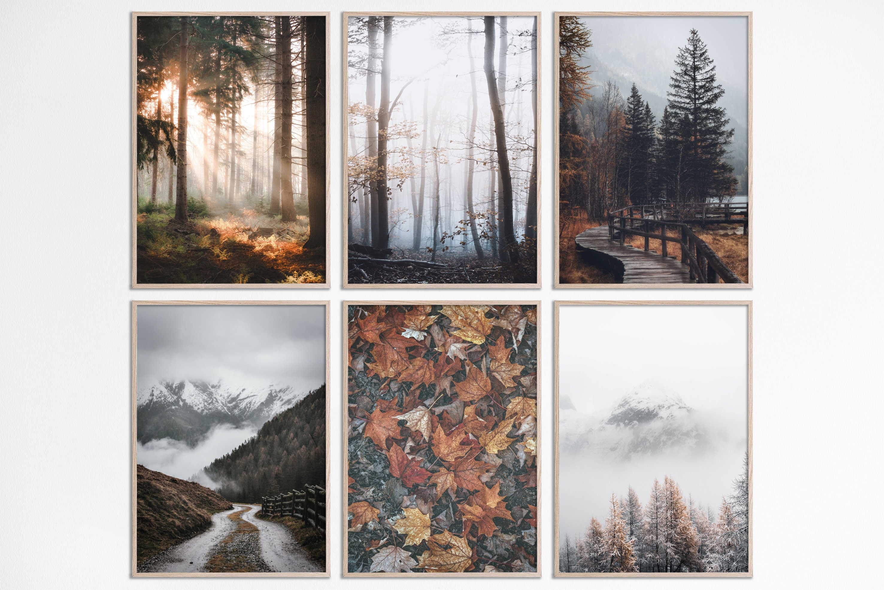 Gallery Wall Art Set of 6 Autumn Forest Prints Foggy Landscape - Etsy