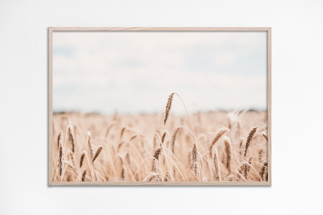 Wheat Field Print, Country House Wall Decor, Horizontal Landscape Wall ...