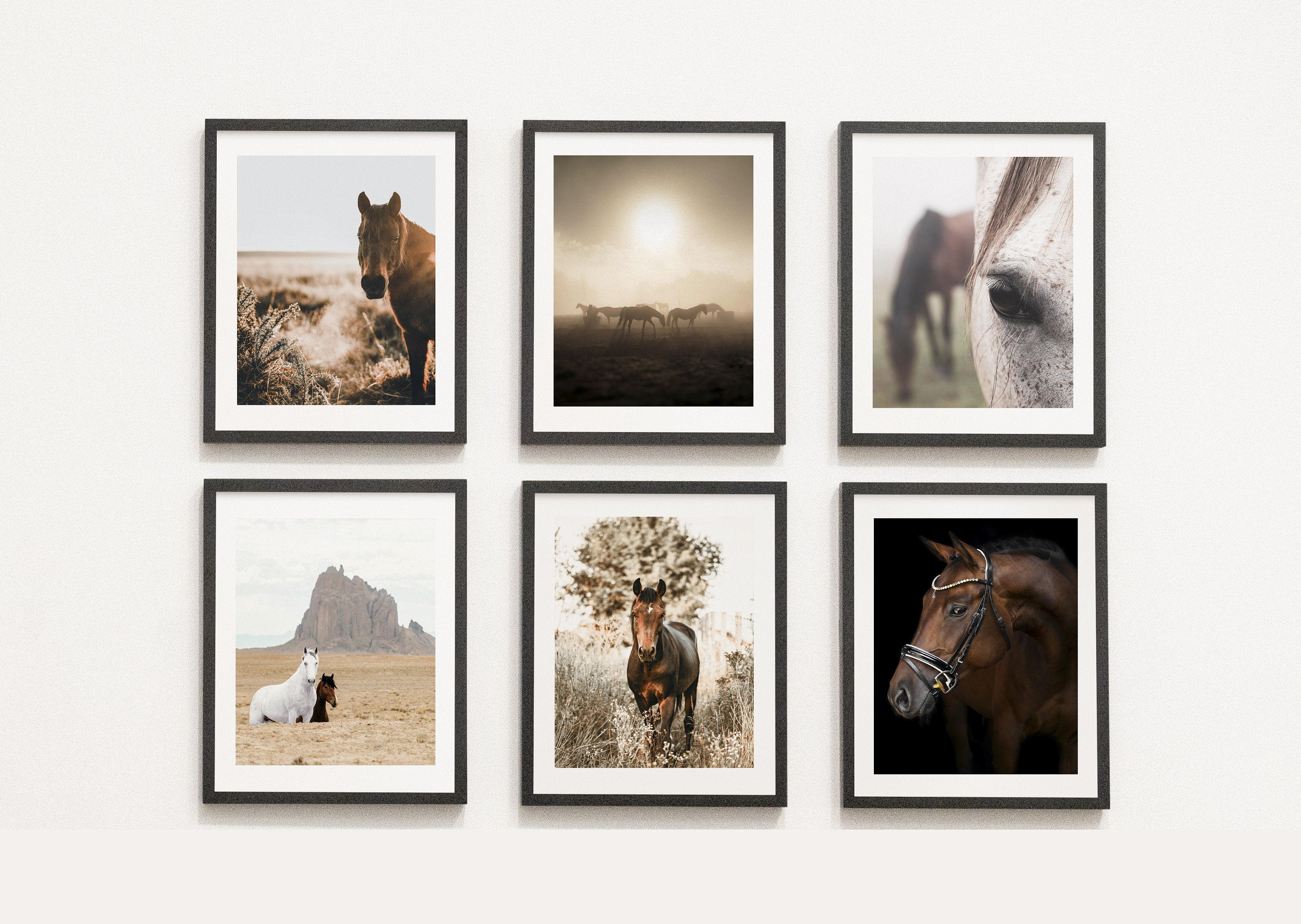 Set of 6 Equestrian Prints Horses Prints Printable Wall Art - Etsy