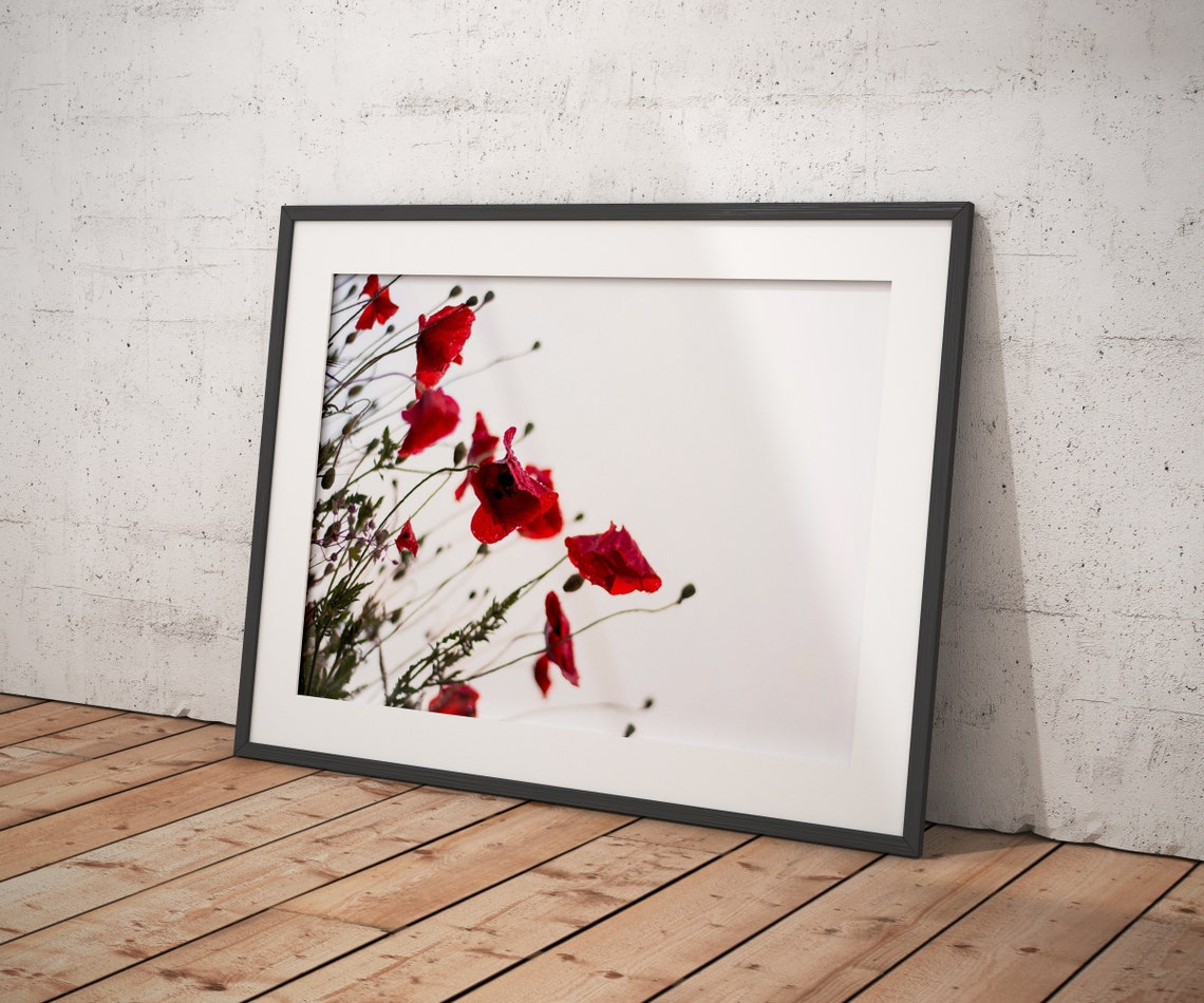 Red Poppies Print Bright Wall Art Spring Wall Decor Floral Art - Etsy
