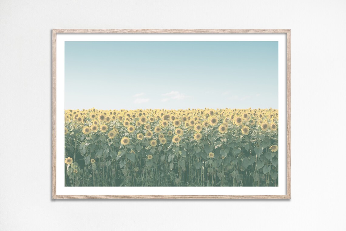 Sunflowers Print, Field of Sunflowers Wall Art, Nature Boho Decor ...