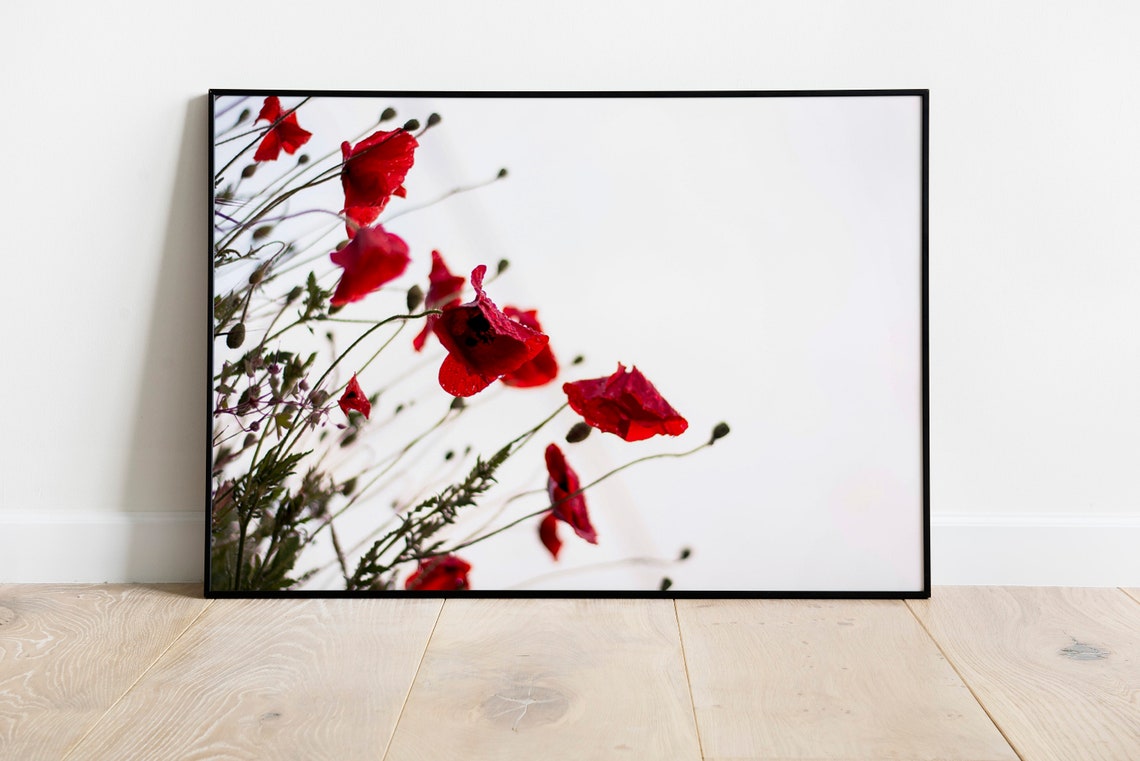 Red Poppies Print Bright Wall Art Spring Wall Decor Floral Art - Etsy