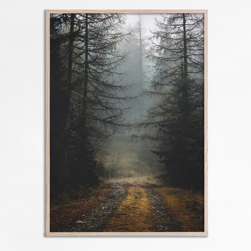 Forest Prints - Etsy