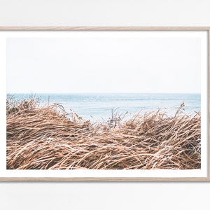 Sea Grass Wall Art, Beach Wall Art, Neutral Minimalist Coastal Decor ...