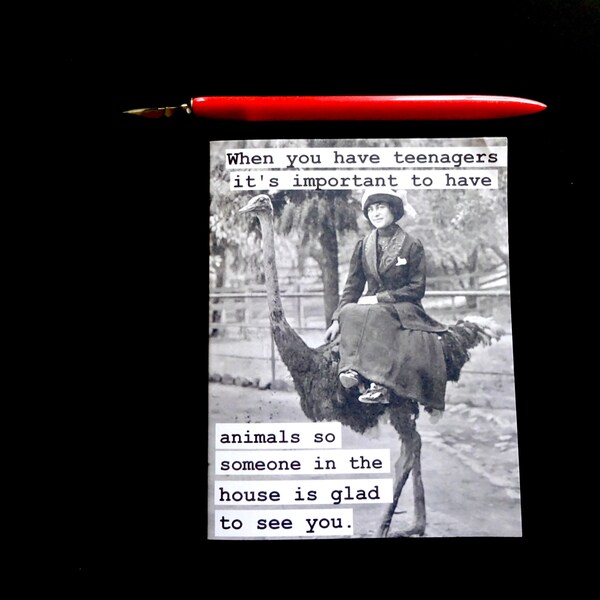Funny Vintage Photo Cards - Etsy