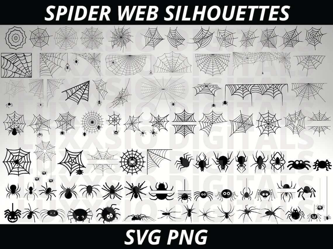 Spider Web Svg Spider Svg Halloween Svg Spooky Svg Cute - Etsy