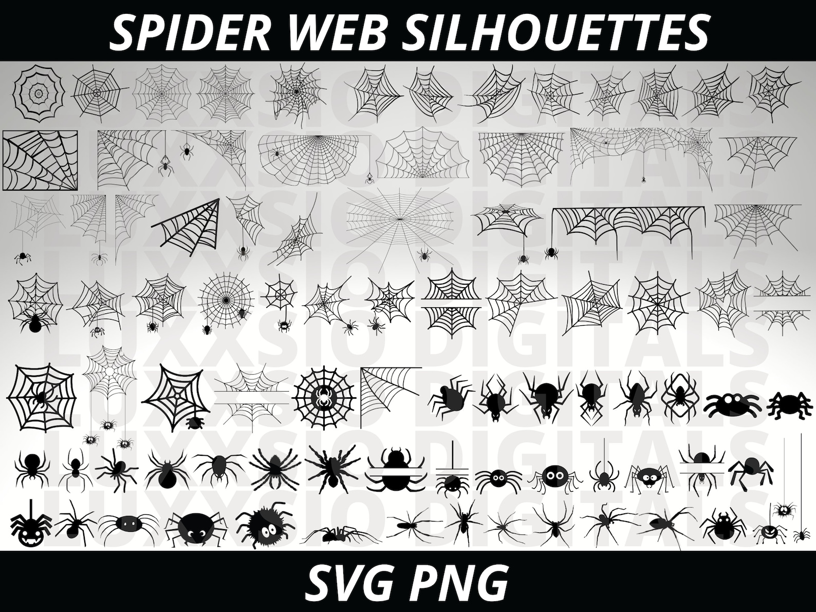 Spider Web Svg Spider Svg Halloween Svg Spooky Svg Cute - Etsy