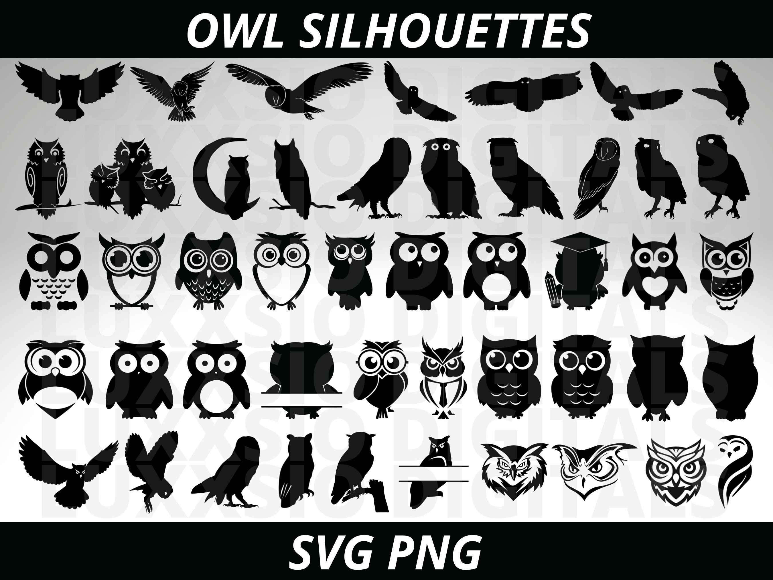 Owl Svg, Owl Clipart, Cute Owl Svg, Owl Png, Bird Svg, Owl Silhouette ...
