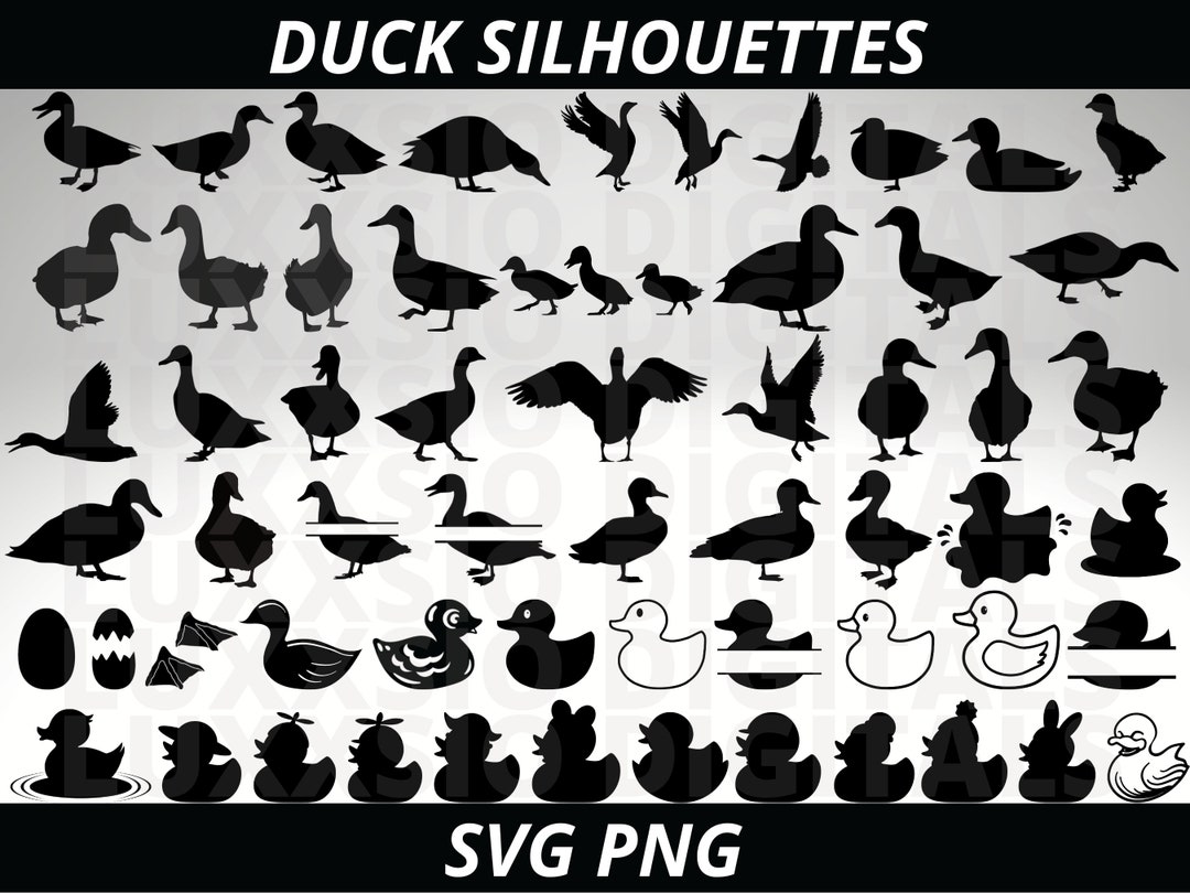 Duck Svg, Rubber Duck Svg, Duck Png, Duck Hunting Svg, Duck Prints ...