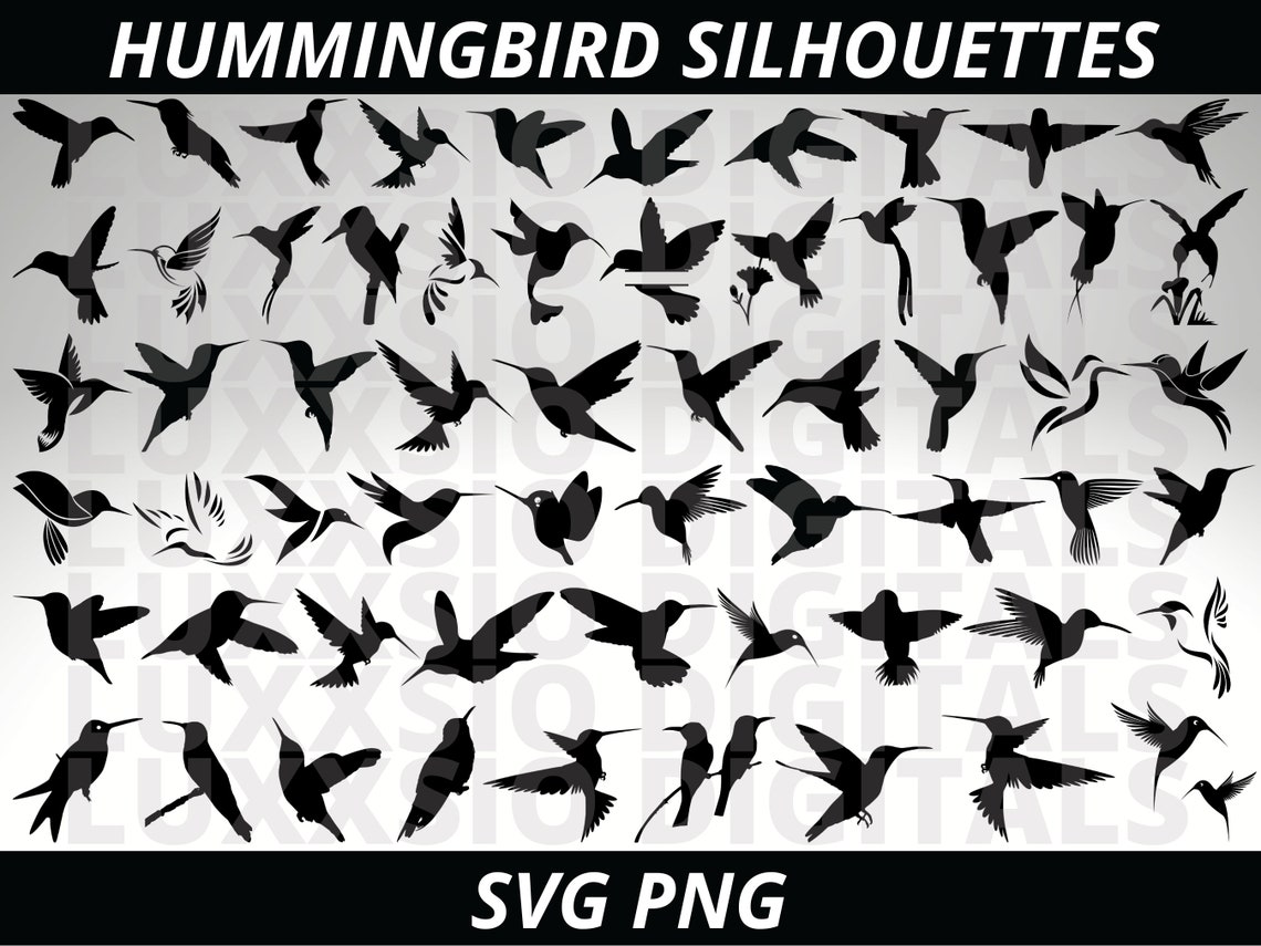 Hummingbird Svg Bird Svg Hummingbird Png Hummingbird - Etsy