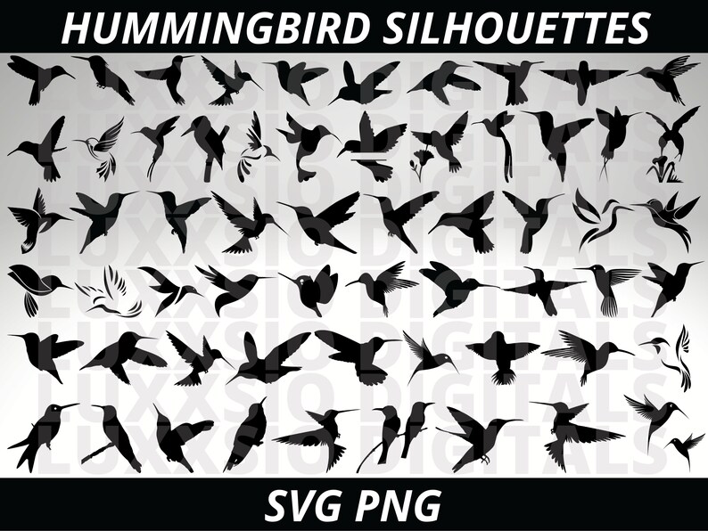 Hummingbird Svg, Bird Svg, Hummingbird Png, Hummingbird Clipart ...
