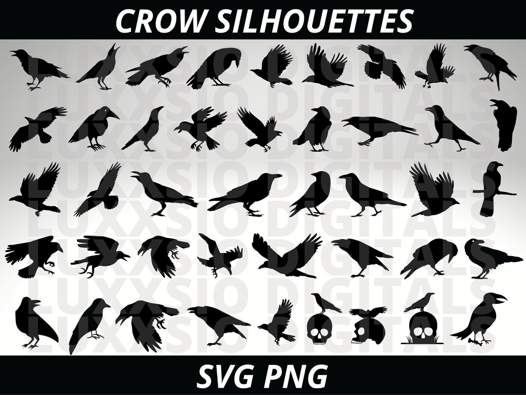 Crow Svg, Raven Svg, Bird Svg, Halloween Svg, Spooky Svg, Halloween ...