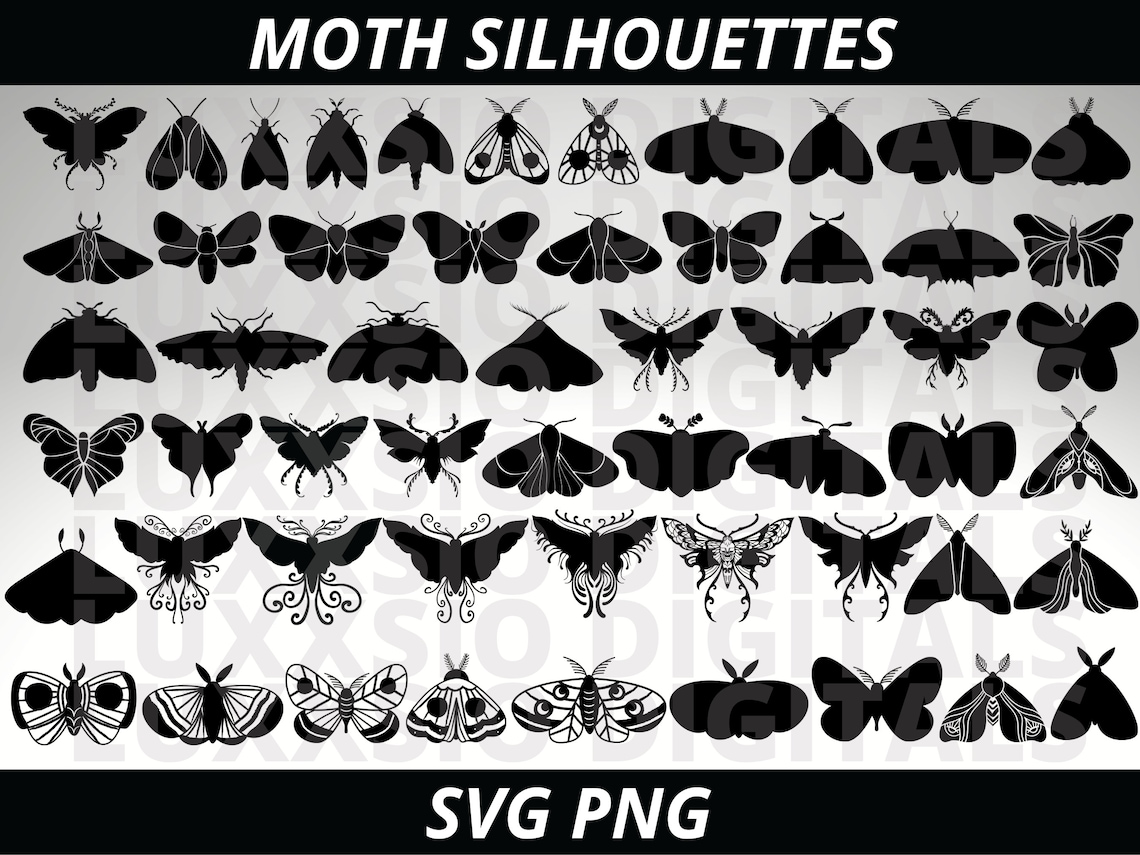 Moth Svg, Insect Svg, Moth Png, Moth Silhouette Bundle, Moth Vector ...